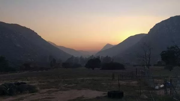 SBDI Center | Education, Entrepreneurship & Social Ecosystem